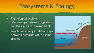 Ecological systems | PPTX