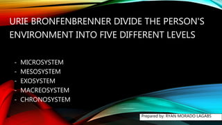 BRONFENBRENNER’S ECOLOGICAL SYSTEM THEORY | PPTX