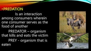 ECOLOGICAL WAY OF LIFE.pptx