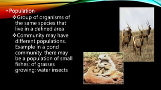 ECOLOGICAL WAY OF LIFE.pptx