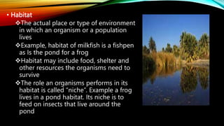 ECOLOGICAL WAY OF LIFE.pptx