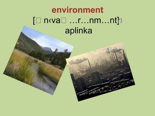 Ecological words | PPT