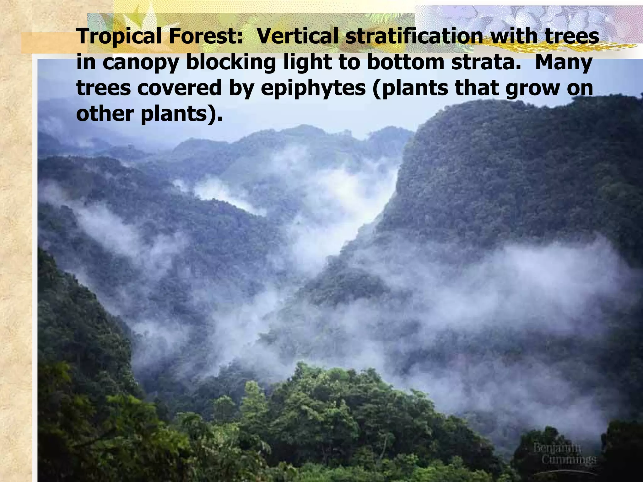 Ecology | PPT