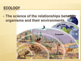 Ecology | PPTX