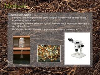 Soil Arthropod and Nitrogen Final | PPT