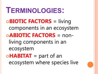 Ecology | PPT
