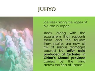 Ecological problems in Asia | PPTX