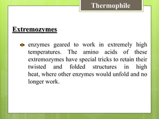 Life at Higher Temperature | PPTX