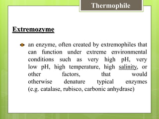 Life at Higher Temperature | PPTX