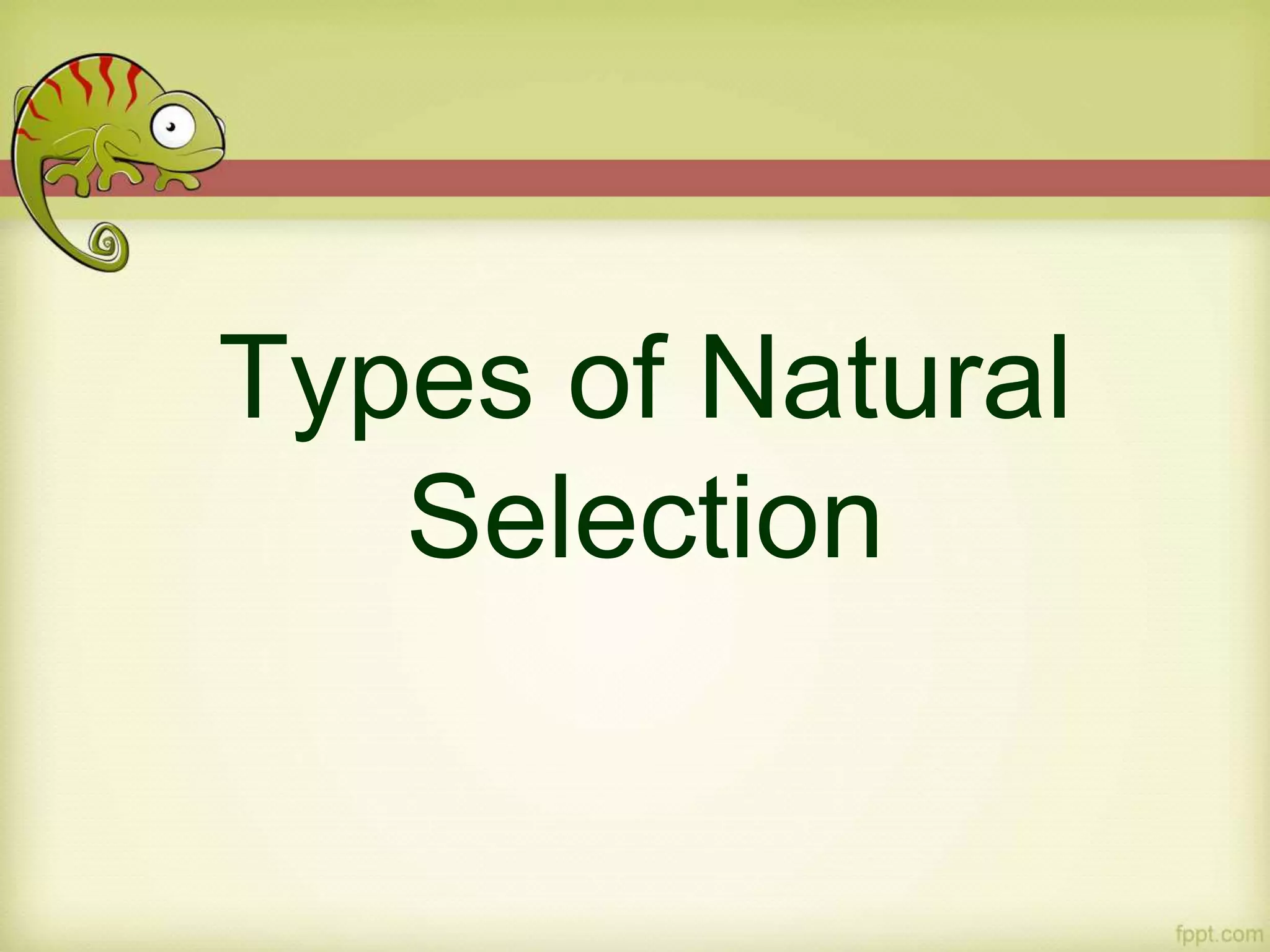 Ecological Genetics: Adaptation and Natural Selection | PPTX | Genetics ...