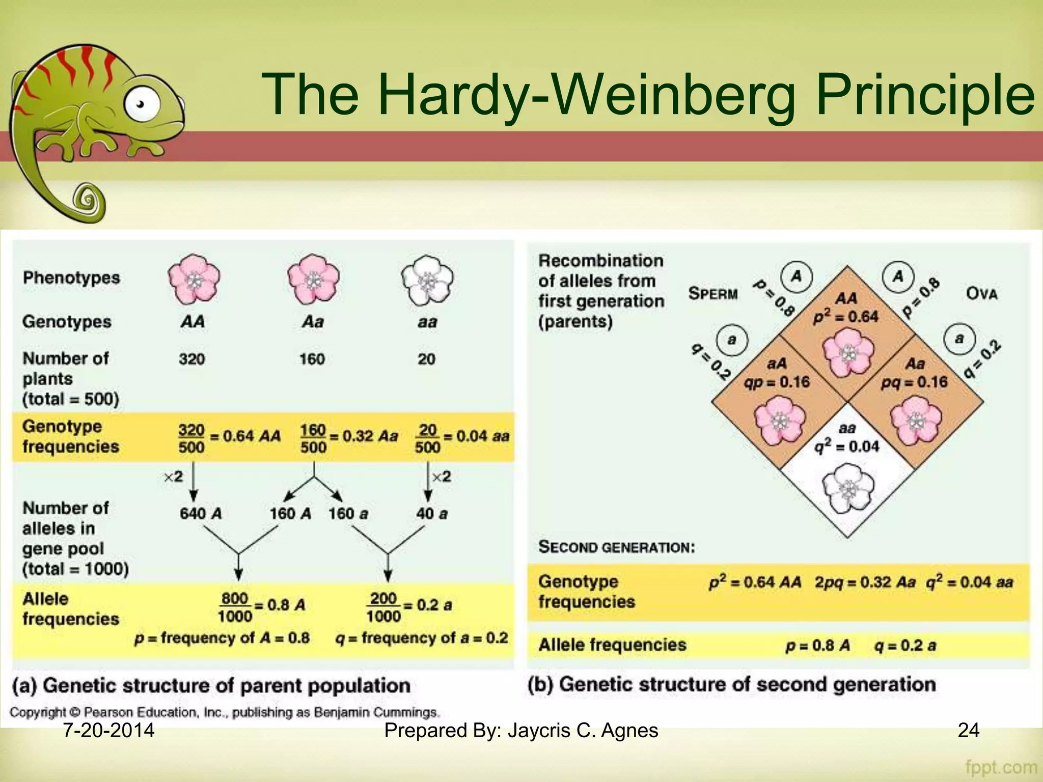 Ecological Genetics: Adaptation and Natural Selection | PPTX | Genetics ...
