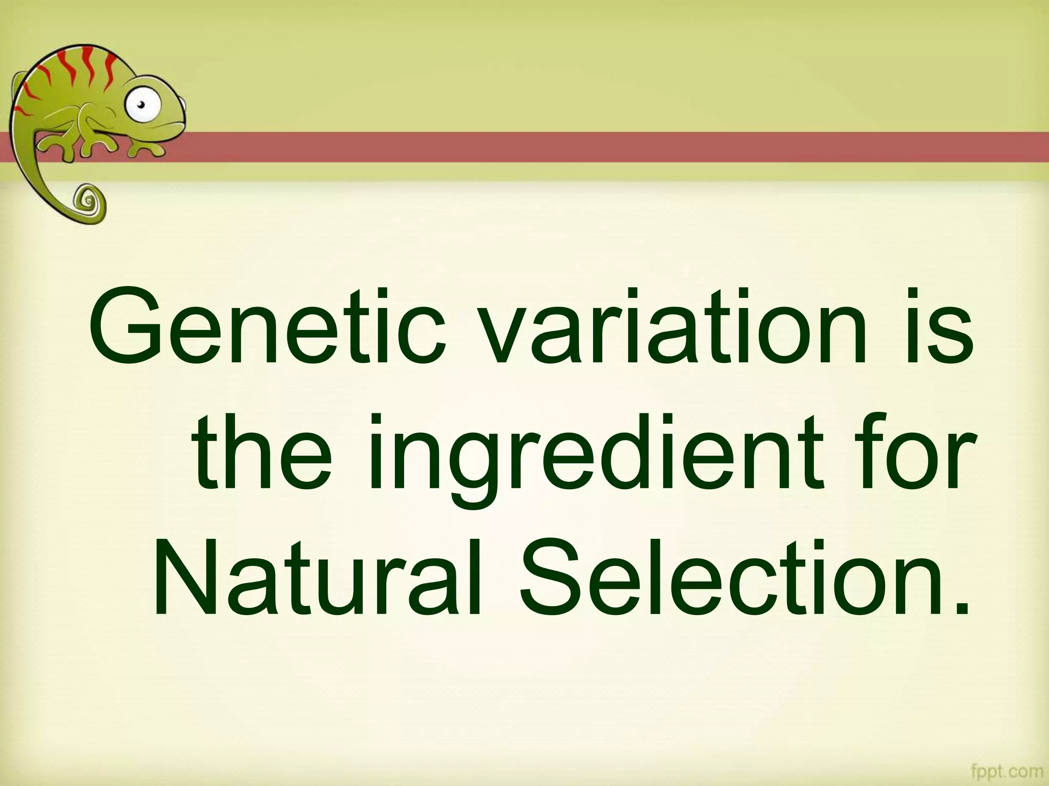 Ecological Genetics: Adaptation and Natural Selection | PPTX | Genetics ...