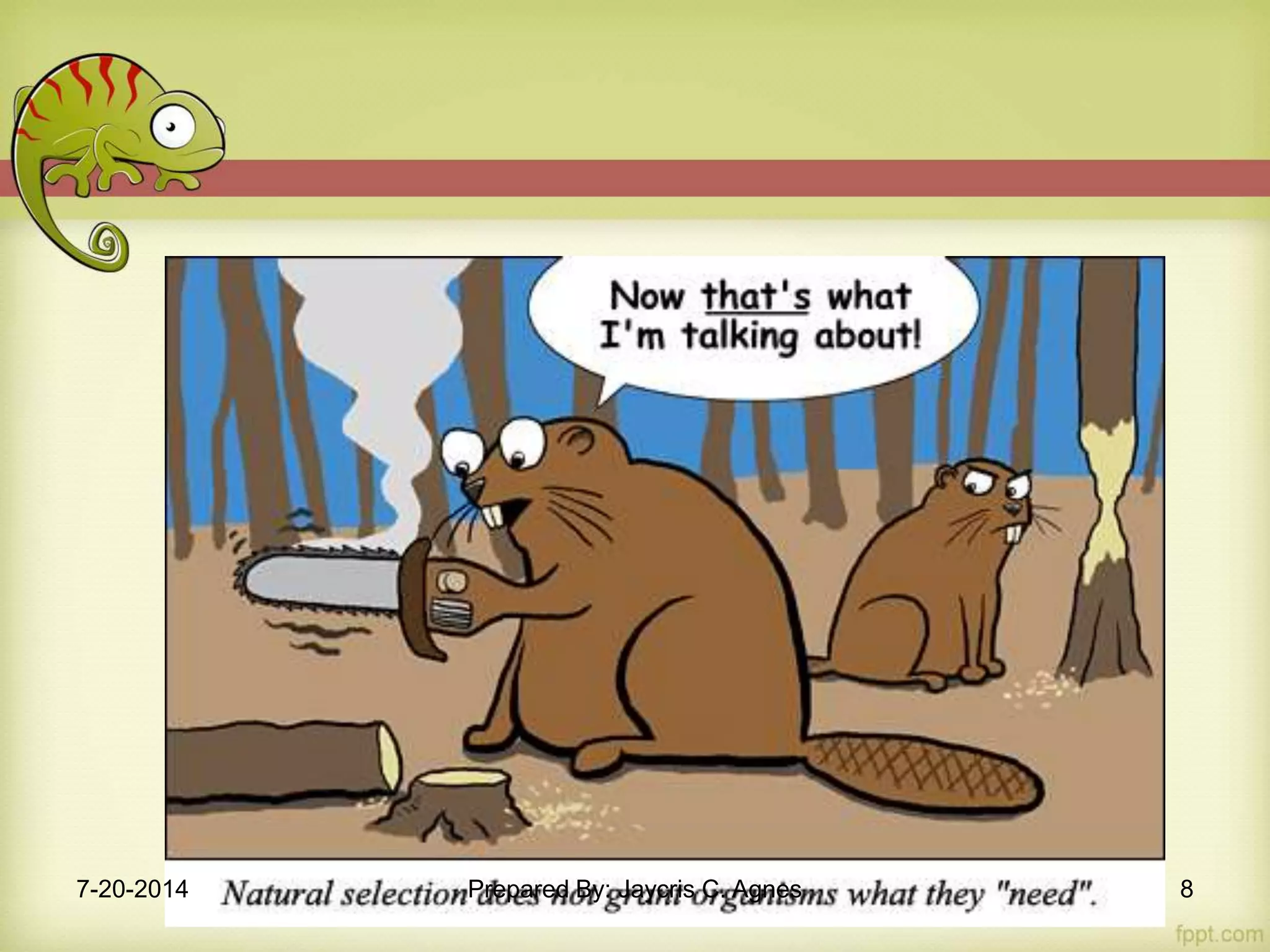 Ecological Genetics: Adaptation and Natural Selection | PPTX | Genetics ...