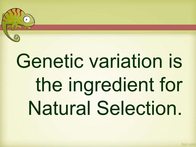 Ecological Genetics: Adaptation and Natural Selection | PPTX | Genetics ...