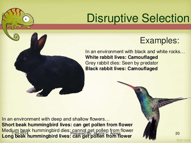 Ecological Genetics: Adaptation and Natural Selection
