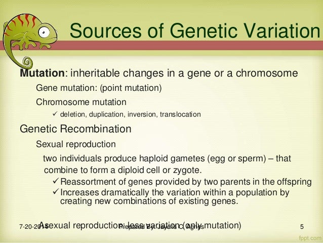 Ecological Genetics: Adaptation and Natural Selection