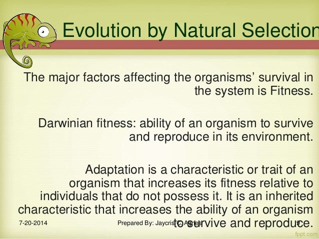 Natural Selection Adaptation