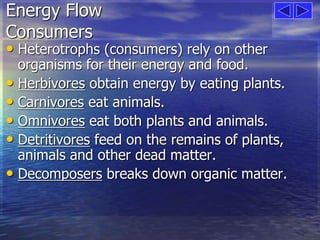 Intro to Ecology | PPTX