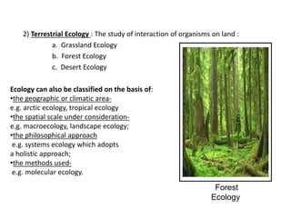 Ecology | PPTX