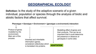 Ecology | PPTX | Geography | Science