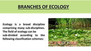 Ecology | PPTX | Geography | Science