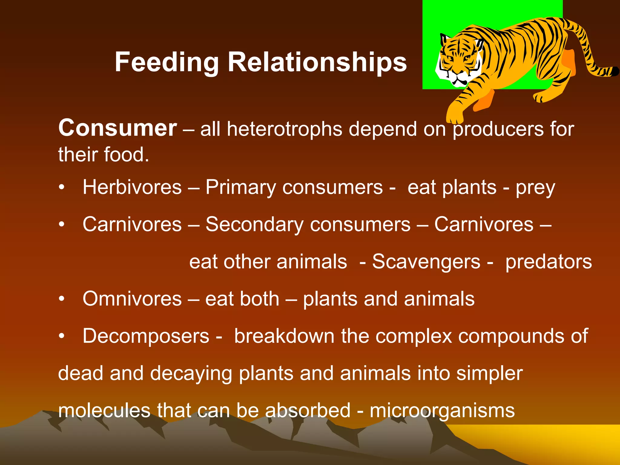 Ecology | PPT