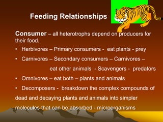 Ecology | PPT