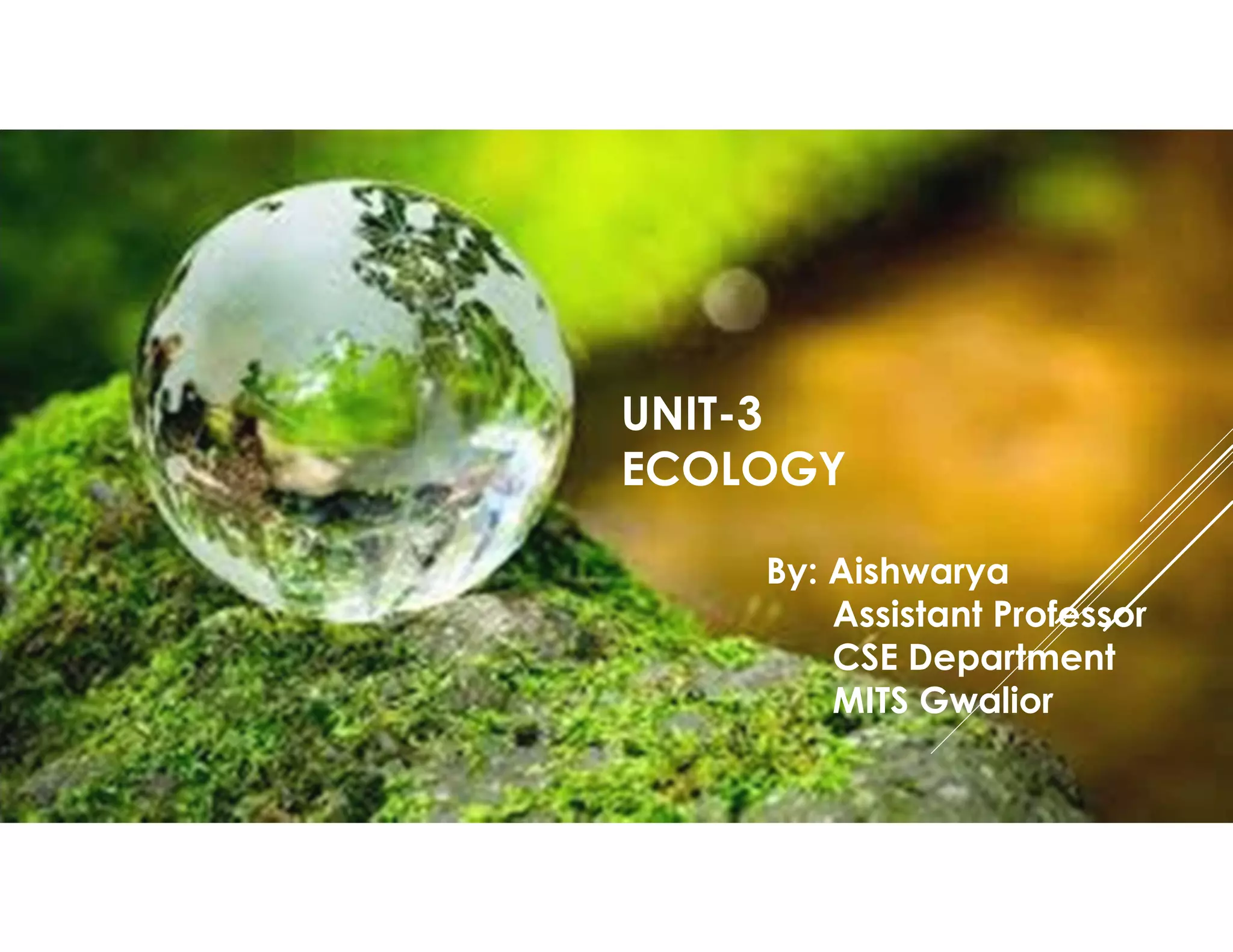 Ecology & Ecosystem | PDF