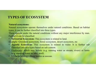 Ecology & Ecosystem | PDF