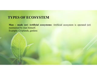 Ecology & Ecosystem | PDF