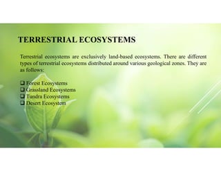 Ecology & Ecosystem | PDF