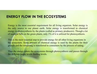 Ecology & Ecosystem | PDF