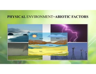 Ecology & Ecosystem | PDF