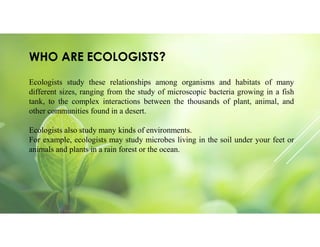 Ecology & Ecosystem | PDF