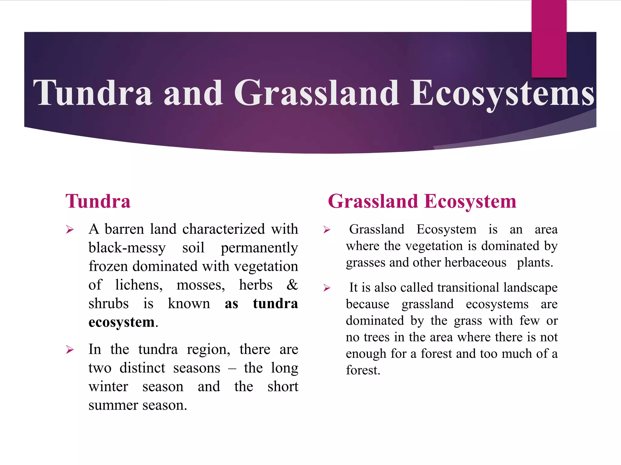 Tundra and Grassland Ecosystems by Habib Ur Rehman | PPTX