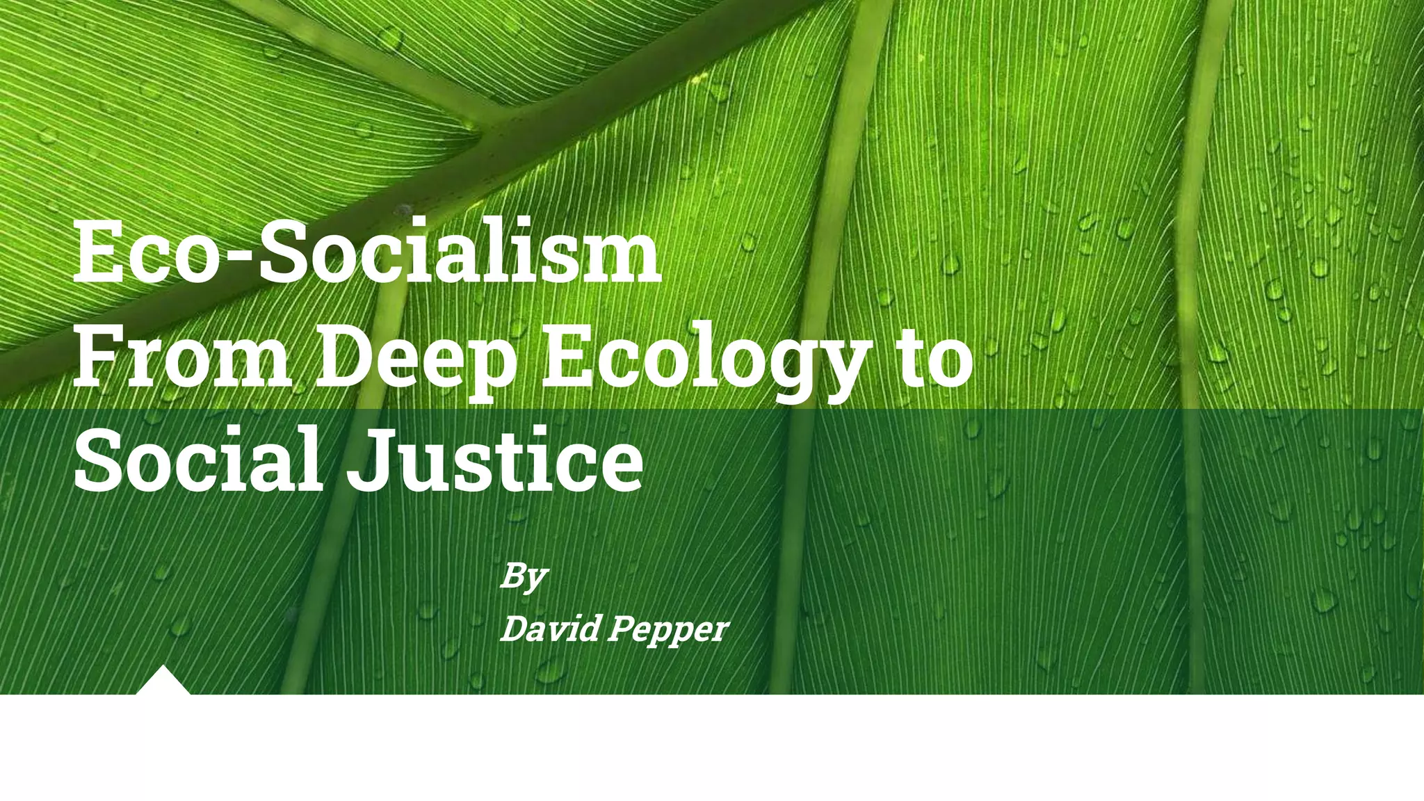 Eco-Socialism From Deep Ecology to Social Justice.pptx