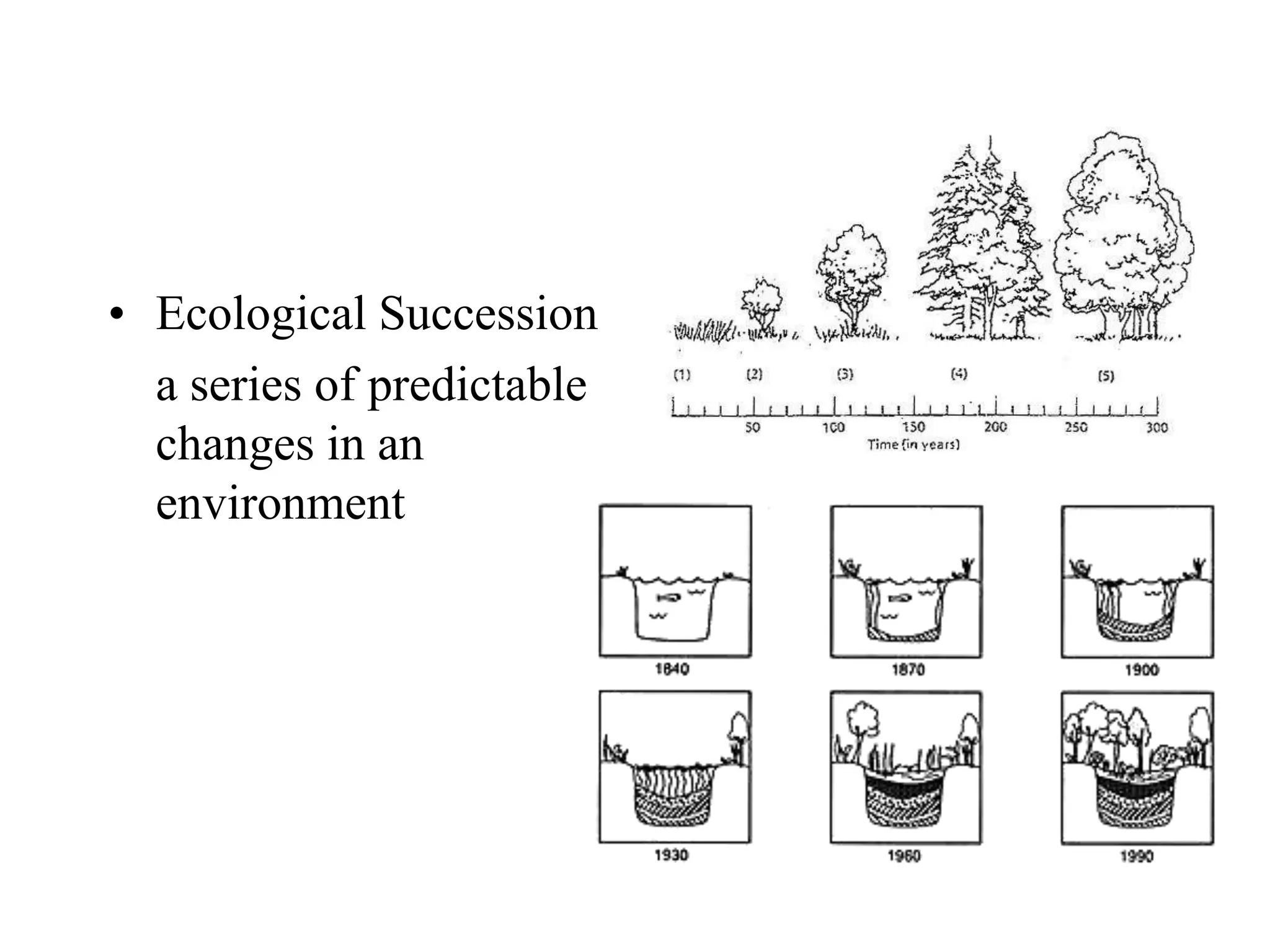 Ecology.ppt