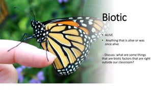 Ecology.pptx | Science