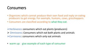 Ecology.pptx | Science