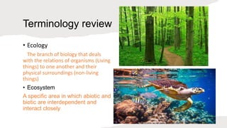 Ecology.pptx | Science