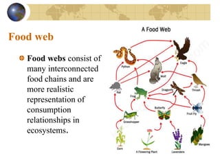 ecology.ppt