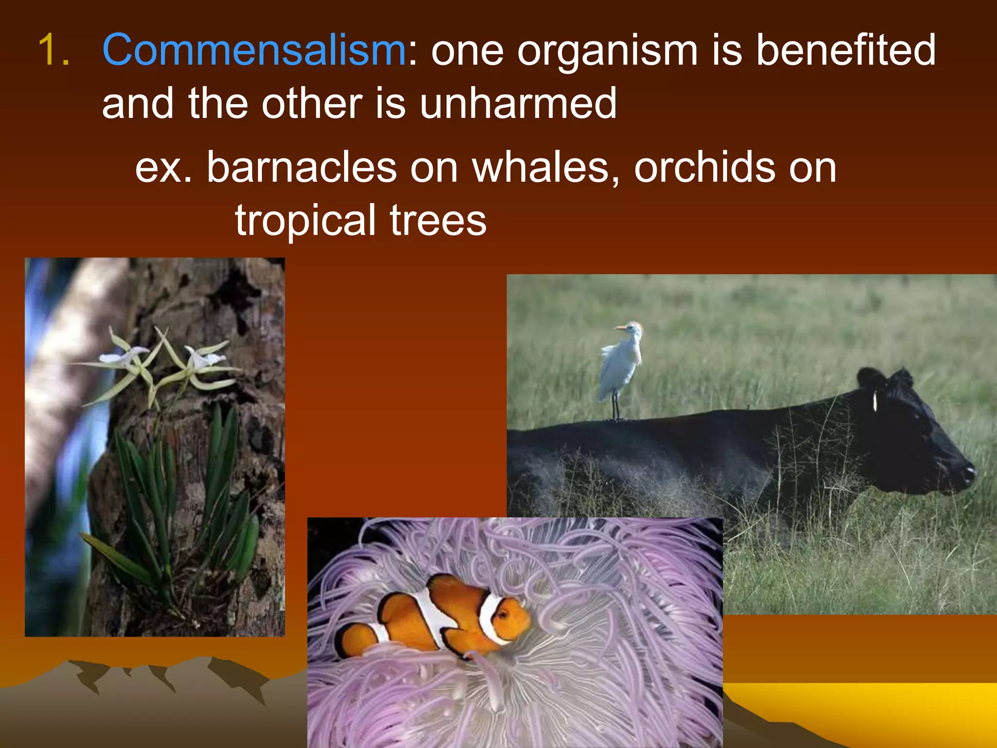 ECOLOGY.ppt | Environment | Science