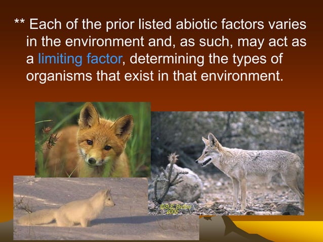 ECOLOGY.ppt | Environment | Science