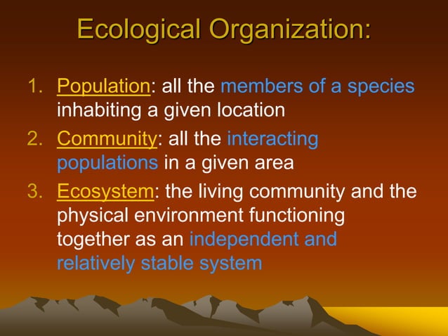 ECOLOGY.ppt | Environment | Science