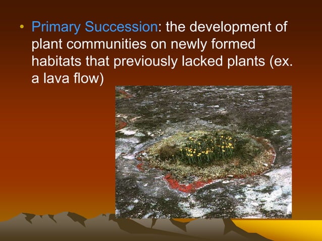 ECOLOGY.ppt | Environment | Science