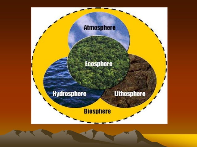 ECOLOGY.ppt | Environment | Science
