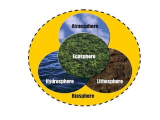 Ecology.ppt