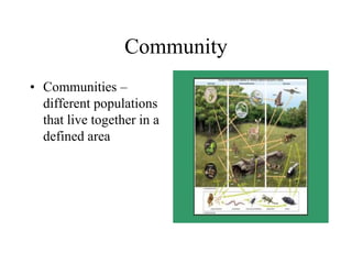 Ecology.ppt