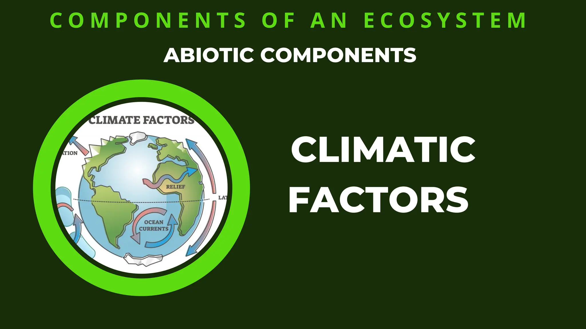 Ecosystem | Comprehensive Presentation | PDF