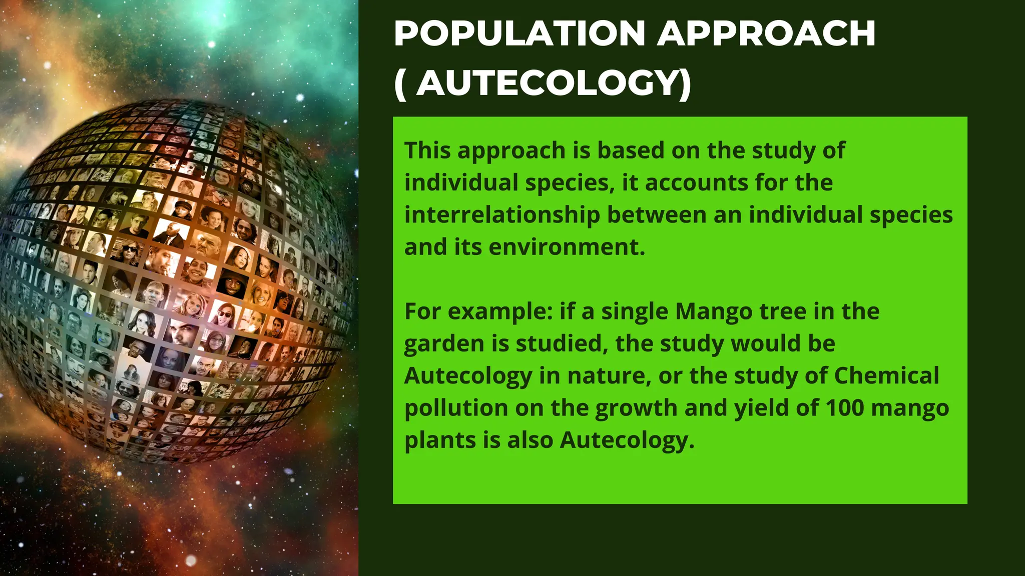 Ecosystem | Comprehensive Presentation | PDF